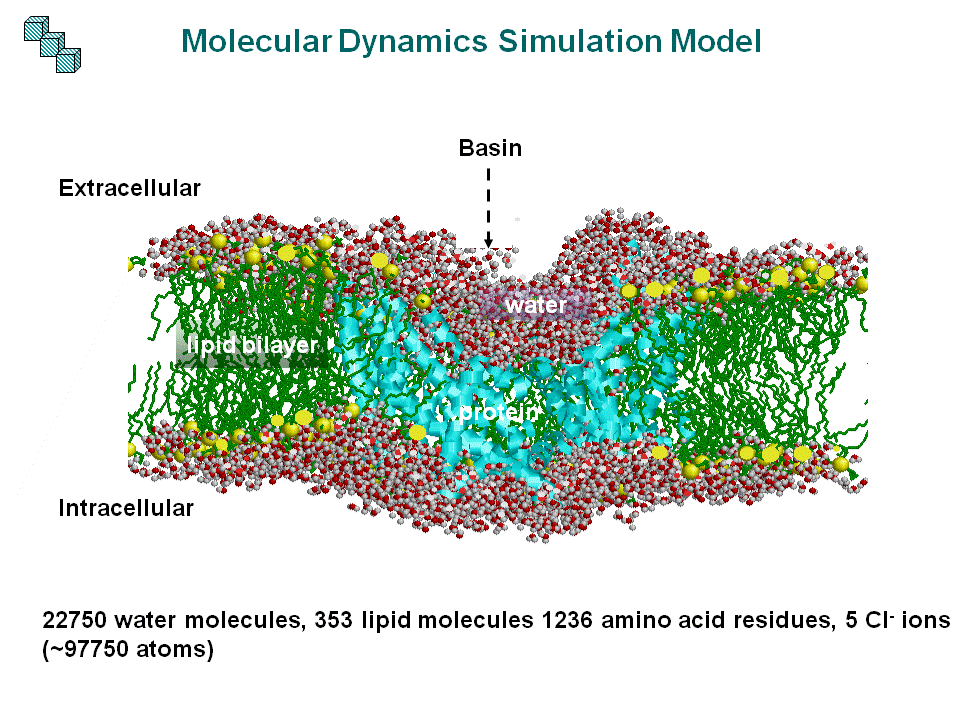 Molecular Modelling and Simulations of Membrane Proteins
